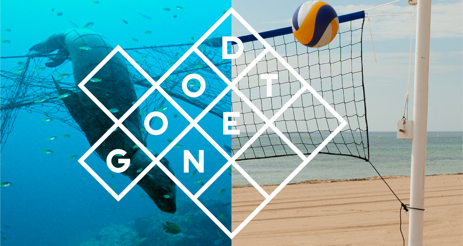 Sustainability » Case Studies